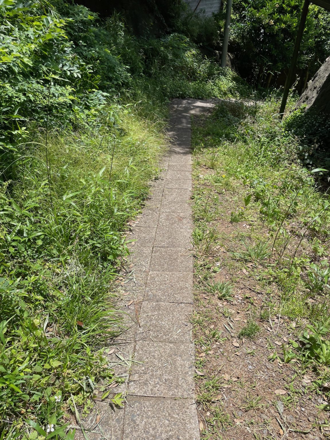 【ゆる山ハイク】大船から鎌倉大仏へハイキング | yamaiko – やまいこ